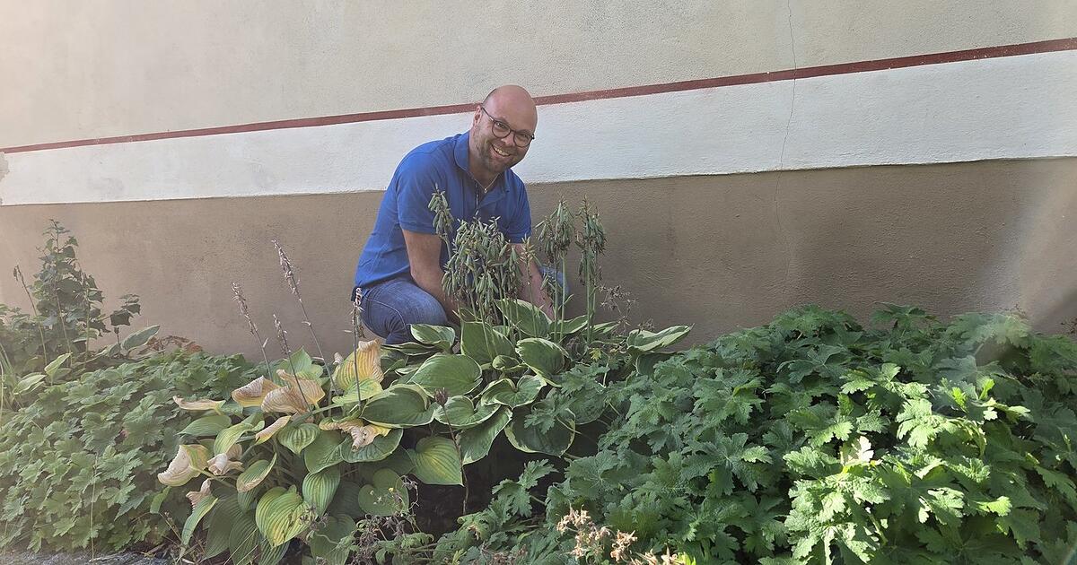 Bad Kötztings Stadtpfarrer Thomas Winderl macht Ikebana