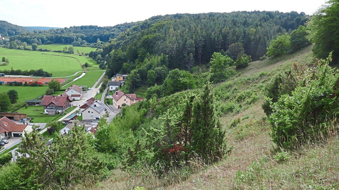Artenreichtum auf den Hängen im Altmühltal