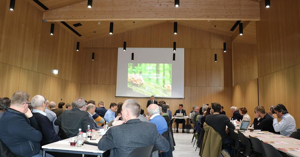Kommt das Grüne Zentrum nach Regen oder nicht?