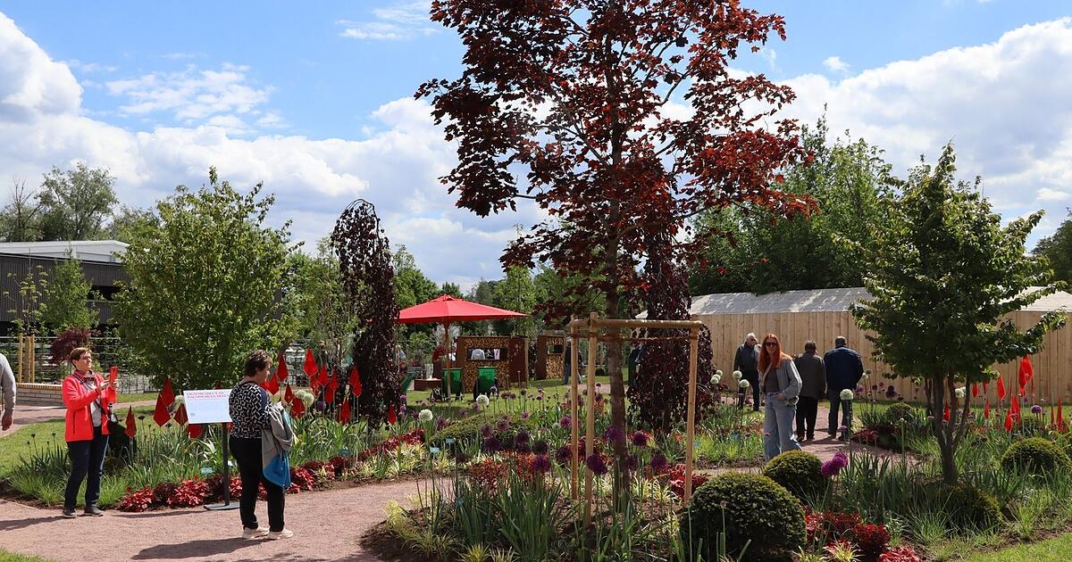 47. Straubinger Sonnenzug fuhr zur Landesgartenschau in Furth im Wald