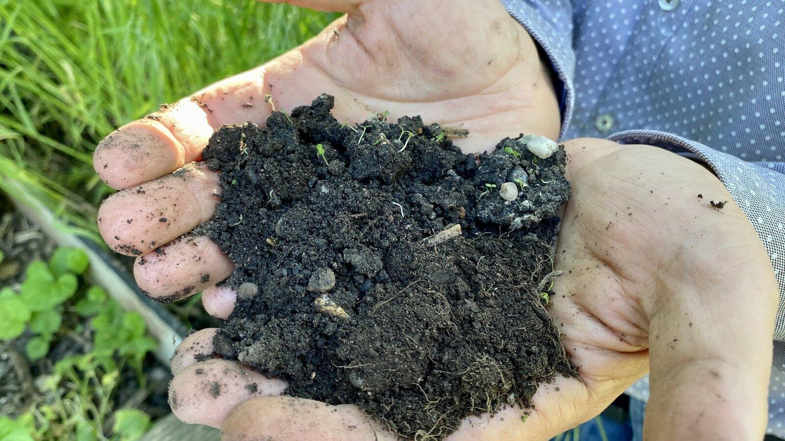 Warum Ostbayerns Bodengesundheit über unsere Zukunft bestimmt