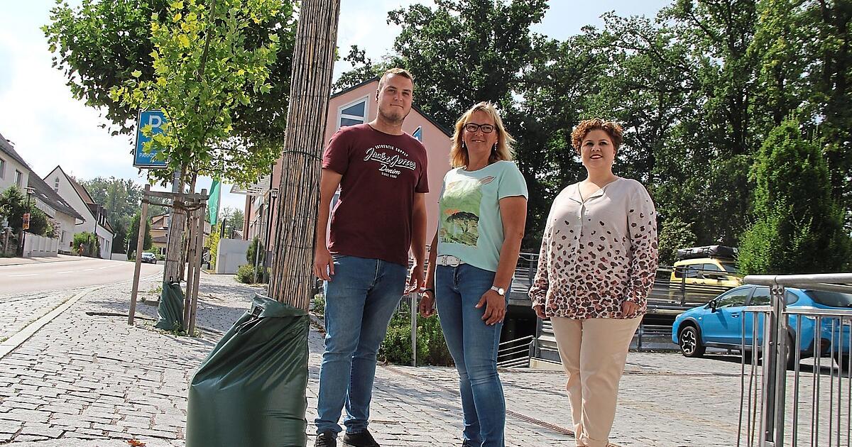 Stadt Roding montiert 34 Treebags